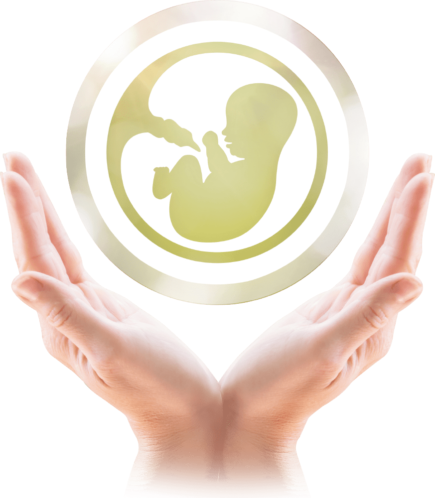 Fertility Centre in Hyderabad | Fertility Clinic in Hyderabad | Plan B ...